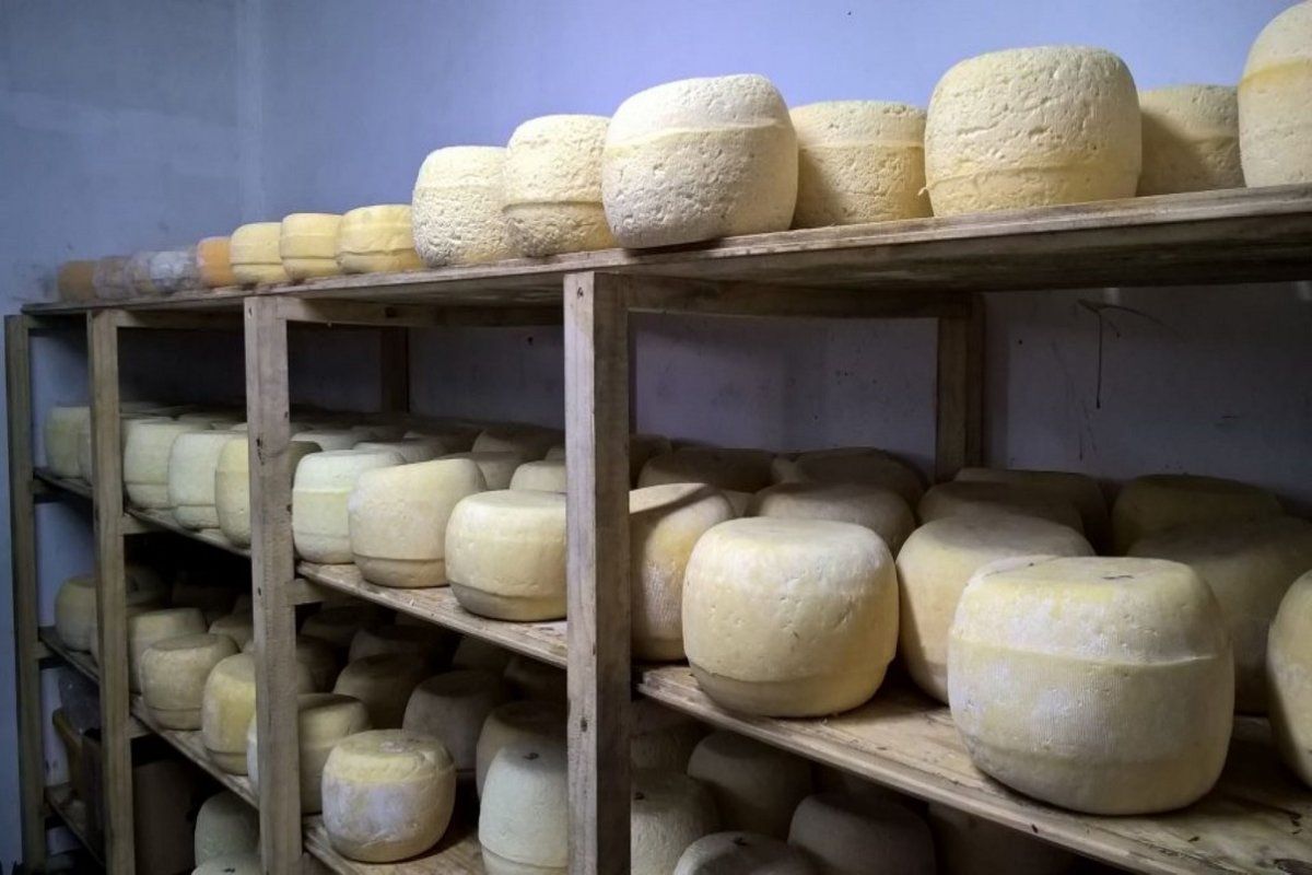 Referentes Del Sector Lechero Definen Líneas De Trabajo Para La ...