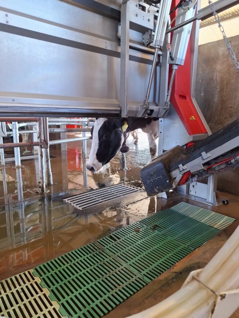 ARGENTINA: Don Juan, el primer tambo robotizado que apuesta al ...